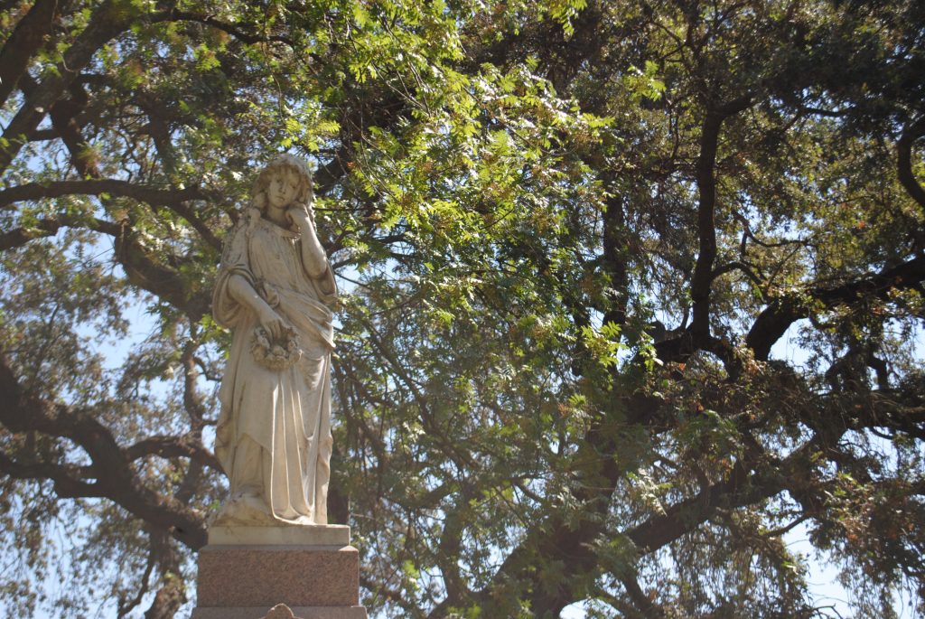 DSC_0042 – Davis Cemetery District & Arboretum